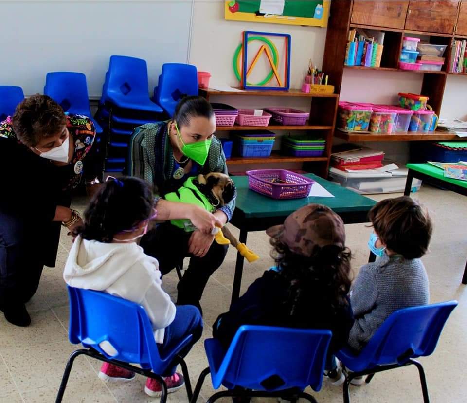 Programa Integral de Salud Mental incentiva acciones para beneficio de la población – LaSalud.mx