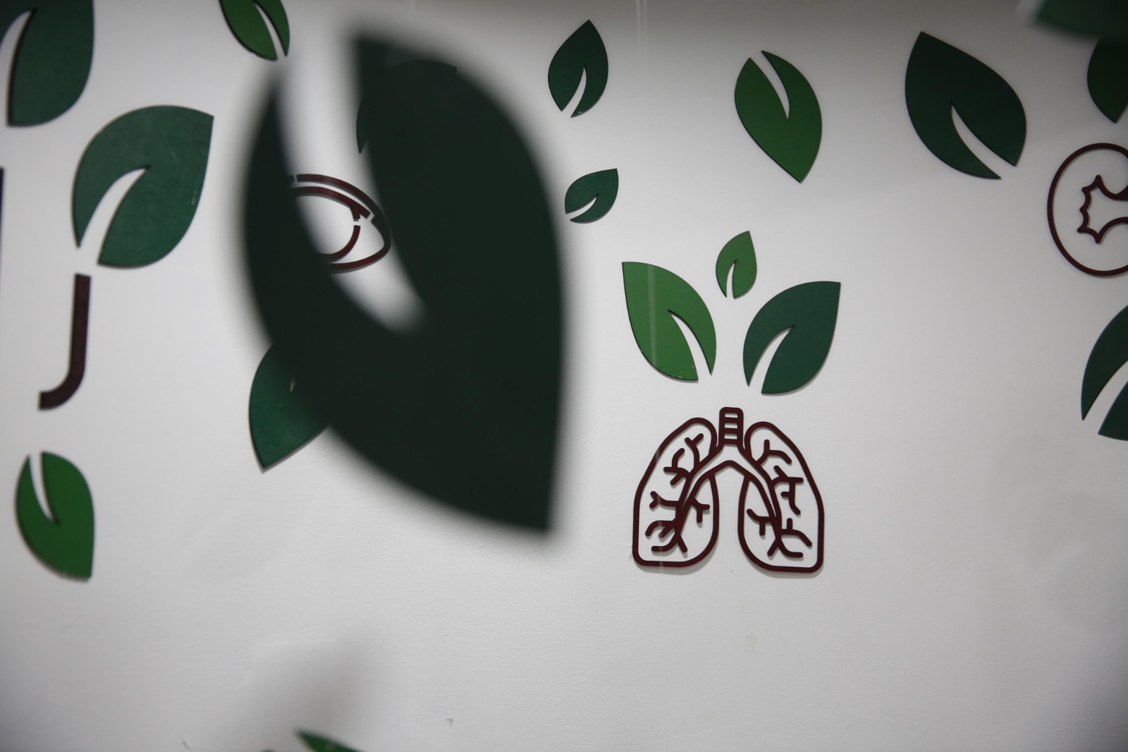 Honran al altruismo: ISSSTE inaugura mural para donadores de órganos ...